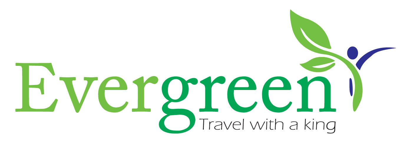 Evergreen Transport Counter Locations | Easy Booking & Support